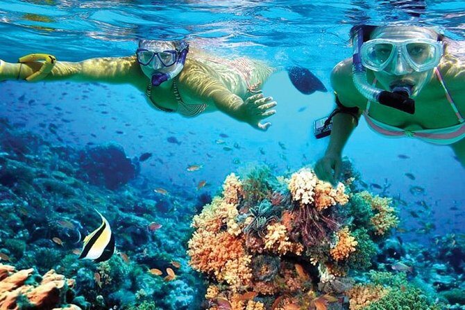 Isla Mujeres sailing tour in catamaran Open Bar& Lunch Included - Isla Mujeres Exploration