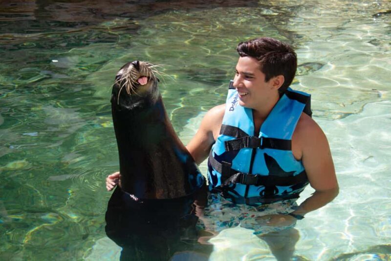 Isla Mujeres: Sea Lion & Manatee Interaction with Buffet - Key Points