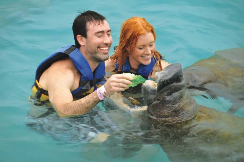 Isla Mujeres: Sea Lion & Manatee Interaction with Buffet - An In-Depth Look at the Tour Experience
