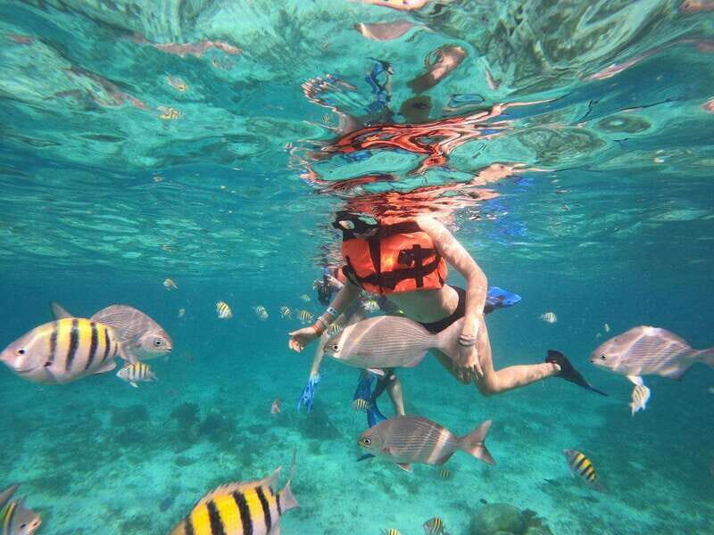 Isla Mujeres: Snorkeling Adventure at the Underwater Museum - A Deep Dive into the Tour Experience