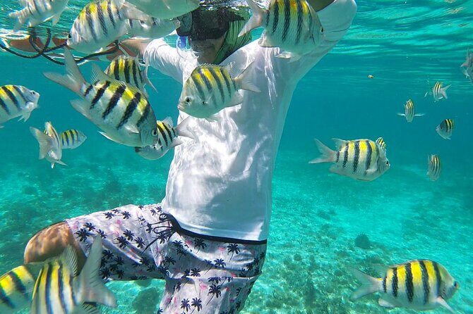 Isla Mujeres Snorkeling Adventure at the Underwater Museum - FAQ