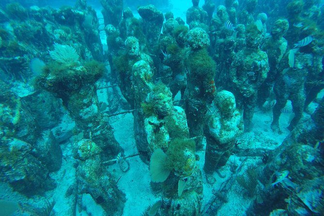 Isla Mujeres Snorkeling Tour Adventure - Final Thoughts: Is It Right for You?