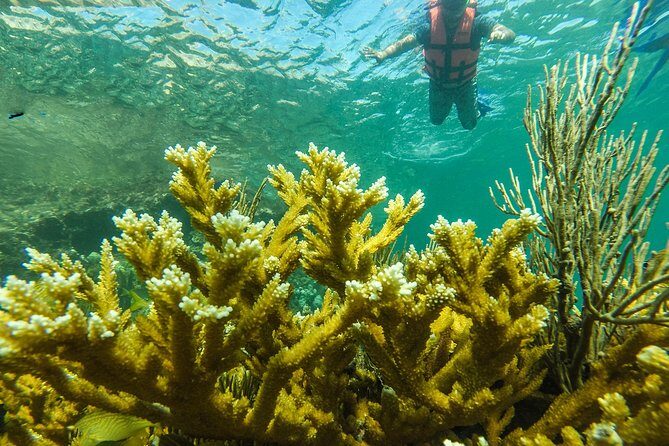 Isla Mujeres Snorkeling Tour Adventure - Final Words