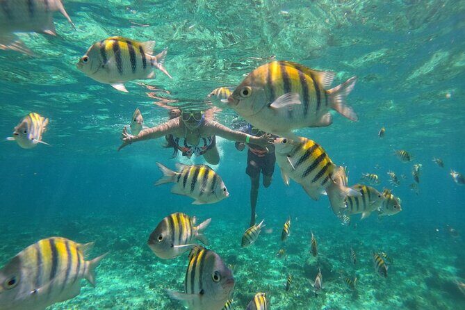 Isla Mujeres Yacht Tour Cancun - The Sum Up: Is This Tour for You?