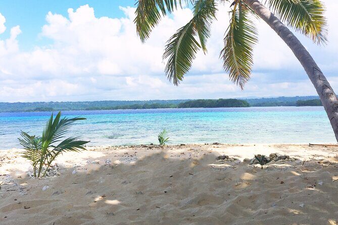 Island Day Tour Santo's Best Snorkeling Marine Sanctuary - The Sum Up: Is This Tour Right for You?