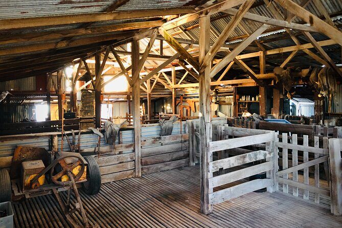 Island Life Adventures | A Day at Dirk - The Sum Up