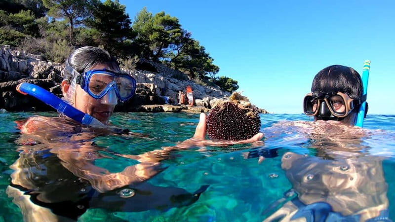 Island Losinj Kayak Tour - Why You’ll Love the Island Losinj Kayak Tour