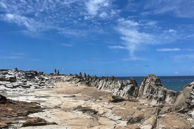 Island of Maui Customized Half Day Tour - Key Points  