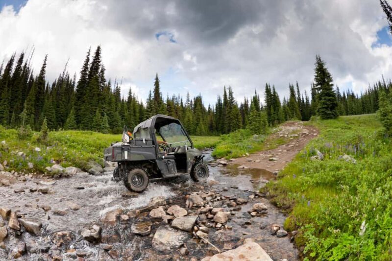 Island Park: Full-Day UTV Adventure - Key Points
