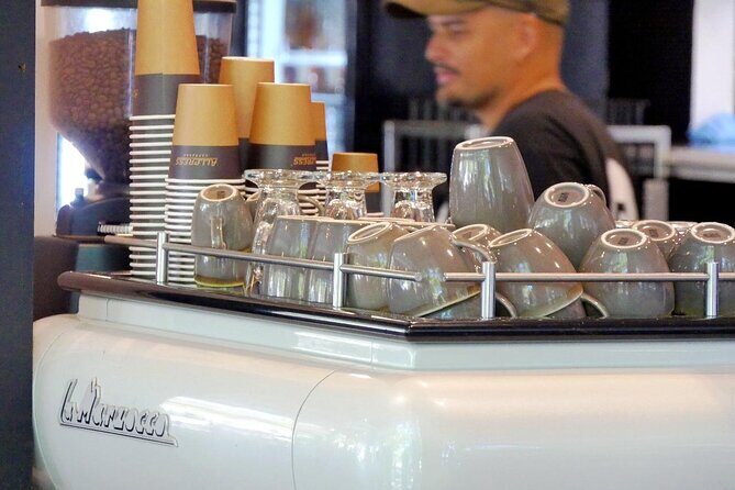 Island Pub Crawl with Lunch and High Speed Boat Tour in Brisbane - Final Thoughts: Who Is This Tour Best For?