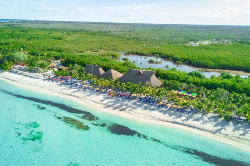 Island Rumba: Ride & Beach Party at Cozumel - Introduction: A Fun-Filled Cozumel Adventure Worth Considering