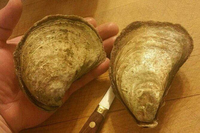 Island Tour with Oyster Tasting & Merroir Experience P.E.I. - Final Thoughts