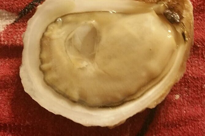 Island Tour with Oyster Tasting & Merroir Experience P.E.I. - FAQ