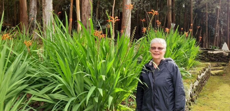 Island Van Tour (Full Day) | Terceira Island - Key Points