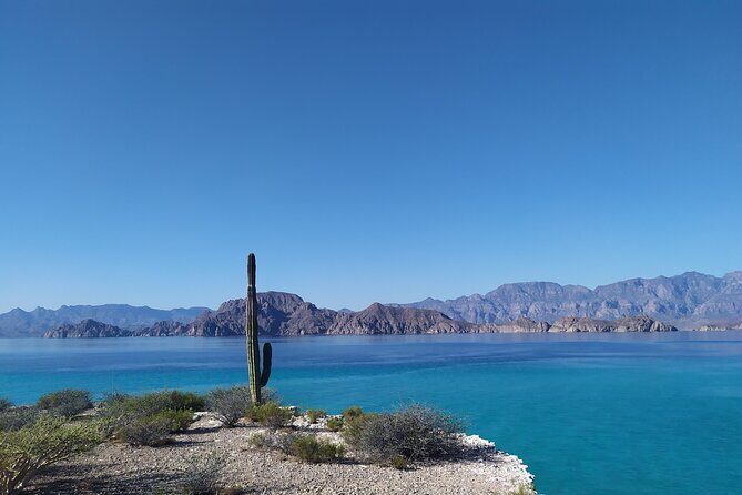 Islands of Loreto PRIVATE TOUR (Danzante y Sur de Carmen) - FAQs