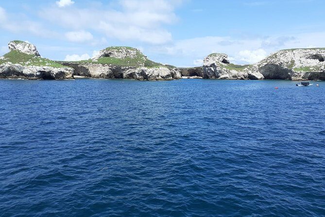 Islas Marietas Tour on Catamaran - Departures from Puerto Vallarta - Authentic Experiences and Guest Feedback