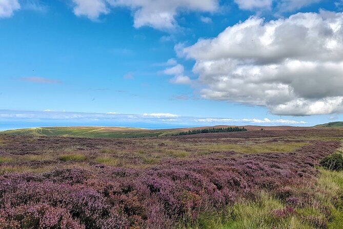 Isle of Man Wildlife & Scenic Adventure with Wildlife enthusiast - Detailed Breakdown of the Itinerary