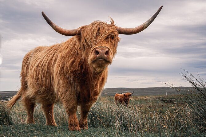 Isle of Skye Day Tour from Fort William - What to Expect from the Itinerary