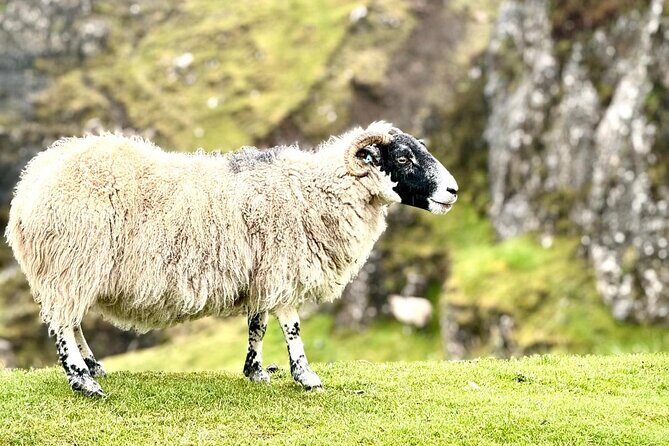 Isle of Skye from Inverness Private Tour - FAQ: Your Practical Questions Answered