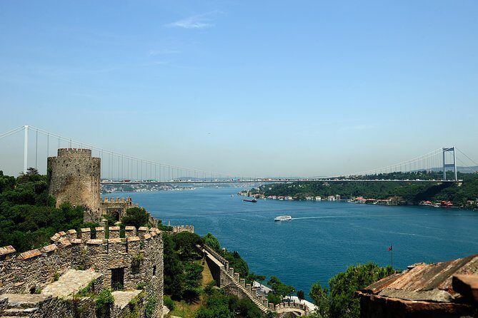 Istanbul Afternoon Bosphorus Cruise with Asian Side Stop - Introduction: What You Can Expect from This Bosphorus Cruise
