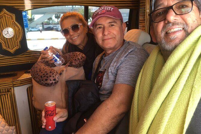 Istanbul Airport Private Transfer Minivan Minibus Meet Transfer - Key Points