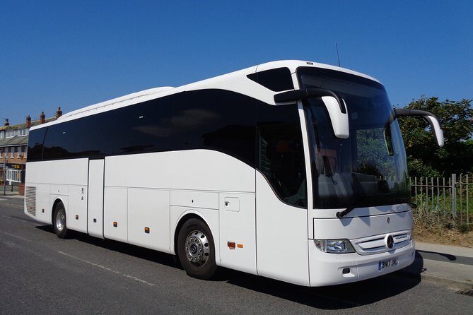 Istanbul Airport Transfer Service (IST) - Vehicle Options and Comfort