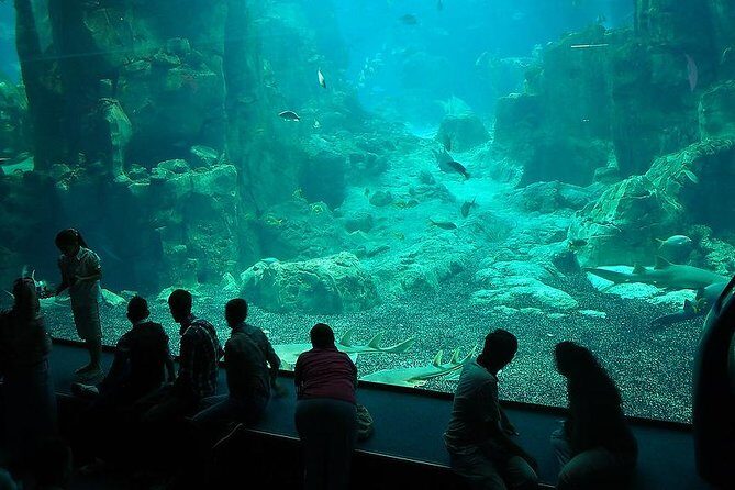 Istanbul Aquarium and Aqua Florya Independent Shopping Trip - Final Thoughts: Who Is This Tour Best For?