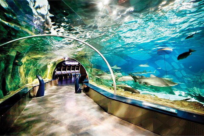 Istanbul Aquarium and Aqua Florya Independent Shopping Trip - Final Word