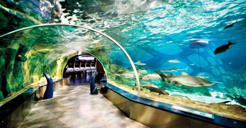 Istanbul Aquarium and Aqua Florya Shopping Mall Tour - A Detailed Look at the Tour Experience
