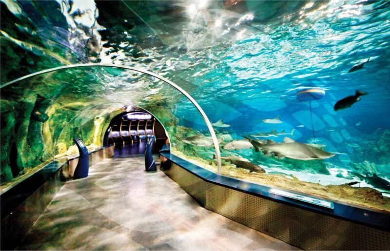 Istanbul Aquarium and Aqua Florya Shopping Mall Tour - Final Thoughts: Is It Worth It?