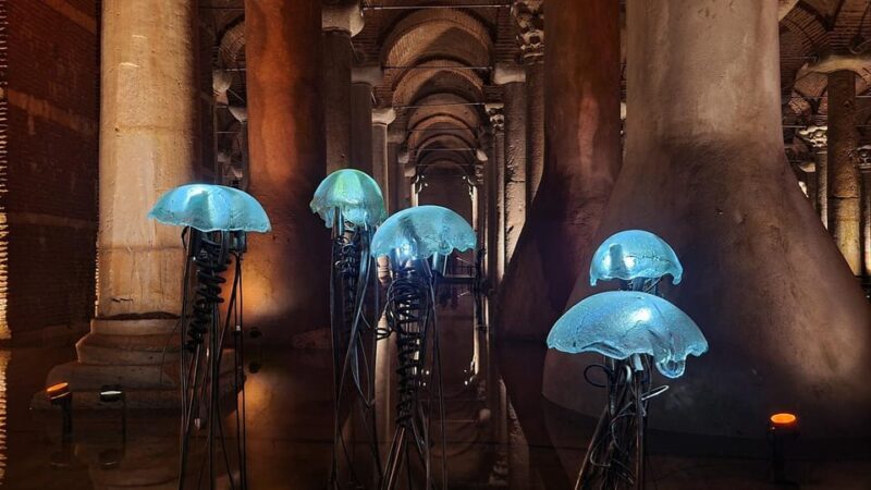 Istanbul: Basilica Cistern Skip-the-Line Entry Ticket - An In-Depth Look at the Basilica Cistern Experience