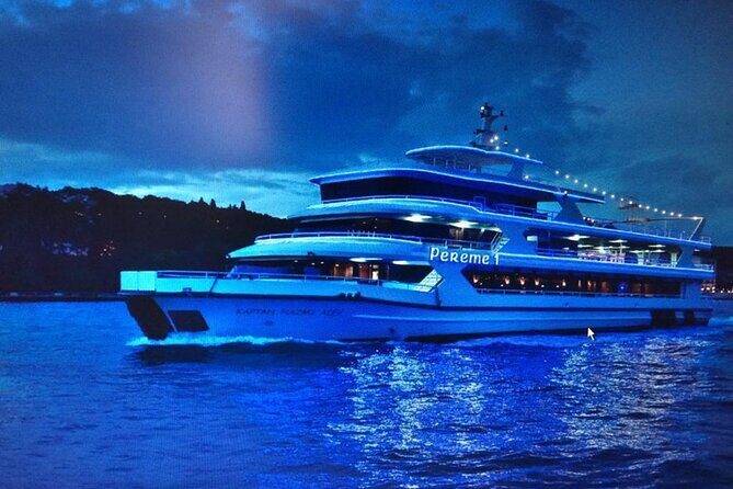 Istanbul Bosphorus Cruise Dinner, Drinks & Show with Pickup - Who Will Love This Tour?