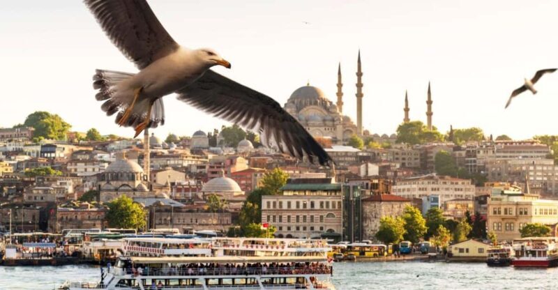 Istanbul: Bosphorus Dinner Cruise with Private Table & Show - An In-Depth Look at the Cruise Experience
