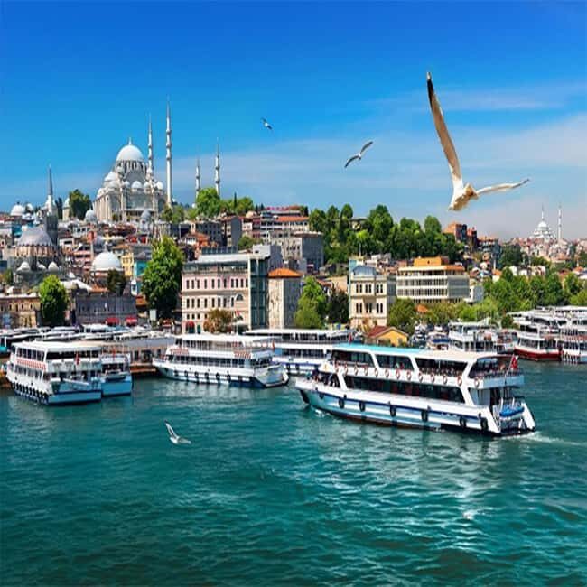 Istanbul Bosphorus Sunset Cruise Guided Tour - Key Points