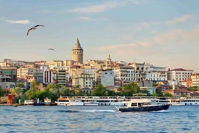 Istanbul Bosphorus Sunset Cruise Tour (Guided) - Key Points
