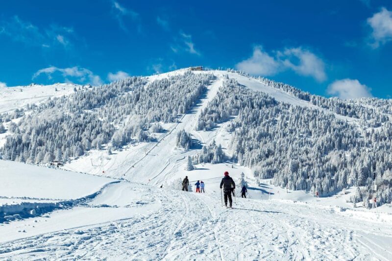 Istanbul: Bursa Tour w/ Cable Car Ride & Uludag Mountain - Who Should Consider This Tour?