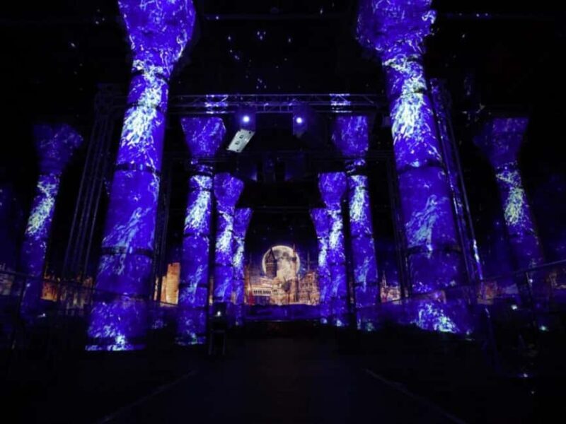 Istanbul: Cistern of Theodosius Entry Ticket and Audio Guide - Who Will Love This Experience?