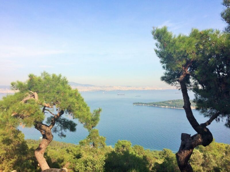 Istanbul: Day Trip to the Princes' Islands - Key Points