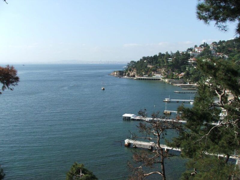 Istanbul: Day Trip to the Princes' Islands - What to Expect from the Tour
