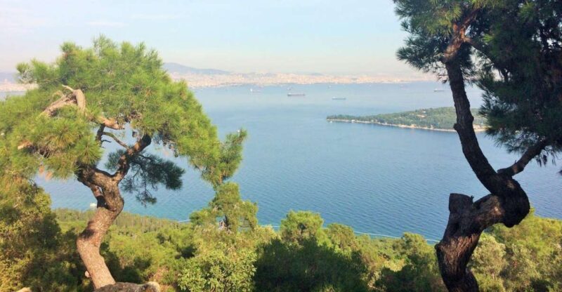 Istanbul: Day Trip to the Princes' Islands - Büyükada’s Highlights