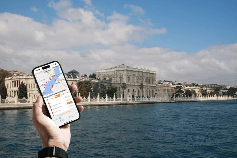 Istanbul: Daytime or Sunset Sightseeing Cruise & Audio Guide - Food and Drink Options