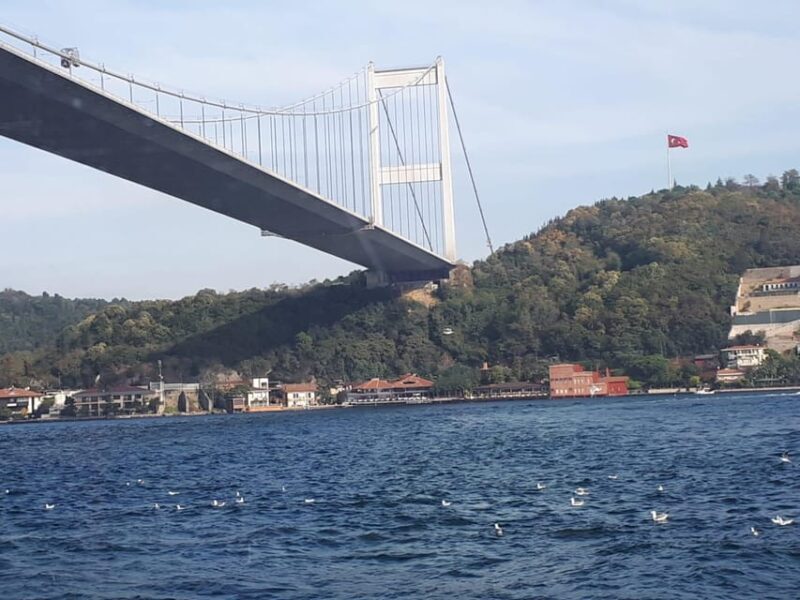 Istanbul: Full-Day City Tour with Bosphorus Cruise and Lunch - Key Points