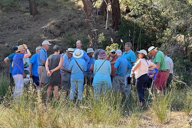 Istanbul Gallipoli Experienced Daily Tour - Lunch & Wine Tasting: Relaxing Breaks in the Day  