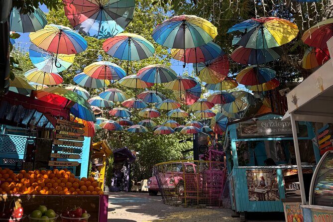 Istanbul in One Day Hagia Sophia, Blue Mosque, Iron Church, Boat - Transportation and Group Size