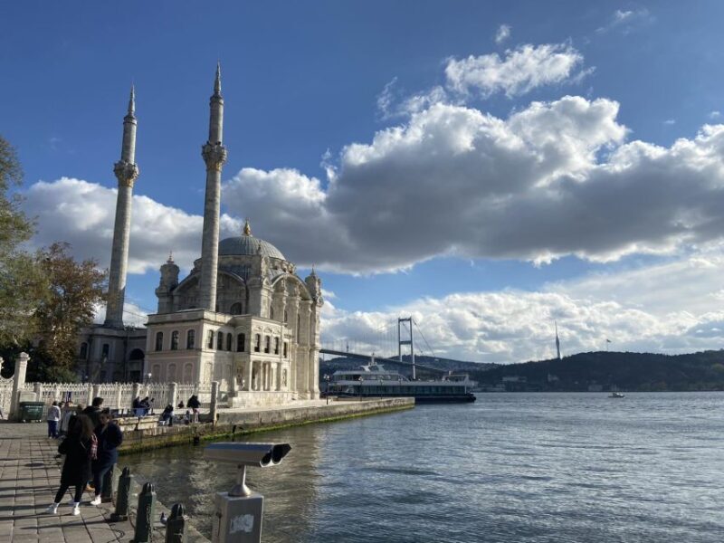 Istanbul: Old Town Highlights Tour & Bosphorus Cruise - Who Will Love This Tour?
