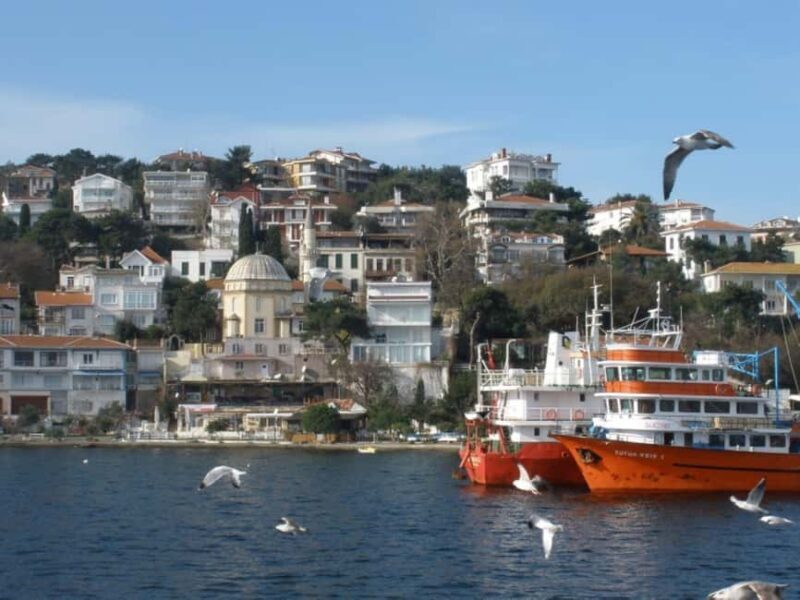 Istanbul Prince Island Cruise with Lunch & Free Time - Key Points