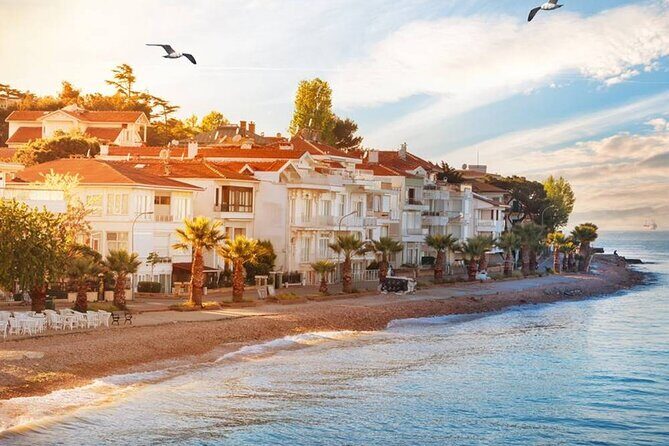 Istanbul Princes Island Tour with Lunch & Hotel Transfer - Return & Hotel Drop-off