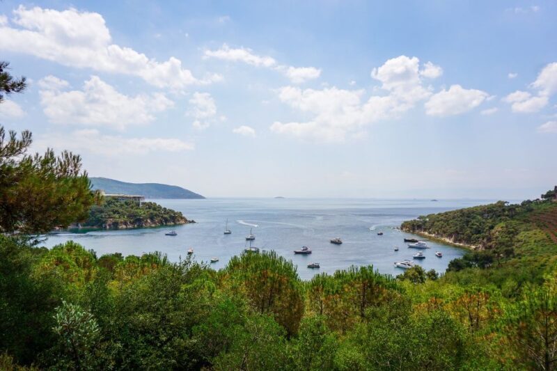 Istanbul: Princes' Islands Cruise w/Music, Lunch & Transfer - Key Points