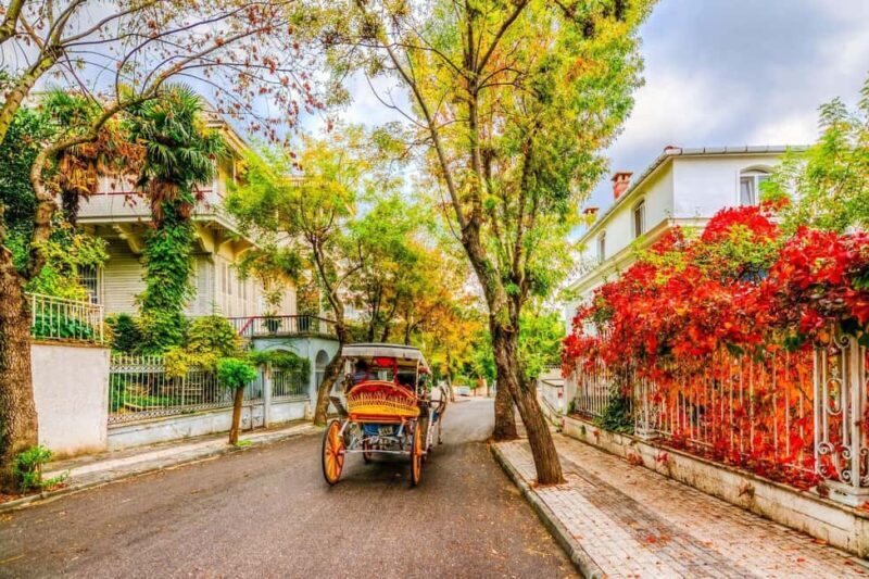 Istanbul: Princes' Islands Cruise with Lunch and Guide - Starting Your Day: From Istanbul to the Marmara Sea