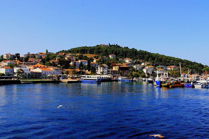 Istanbul: Princes Islands Tour with Heybeliada and Büyükada - Frequently Asked Questions  